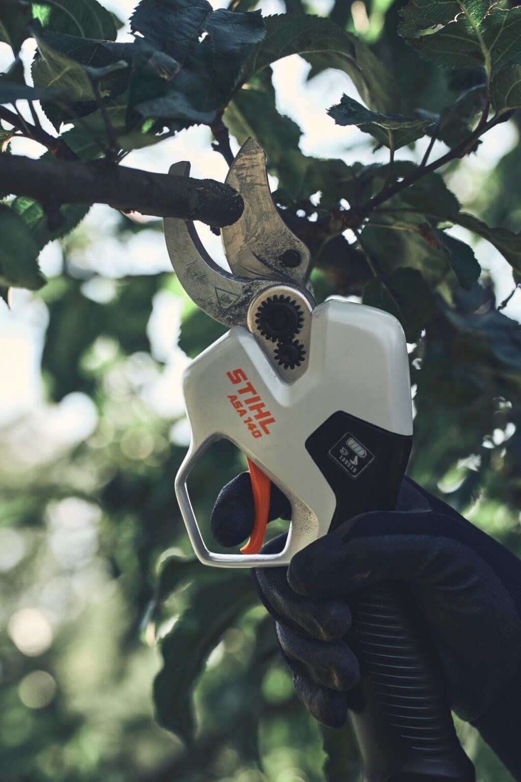 Stihl Akku-Astschere ASA 140 - ENZMO | Gartentechnik Onlineshop